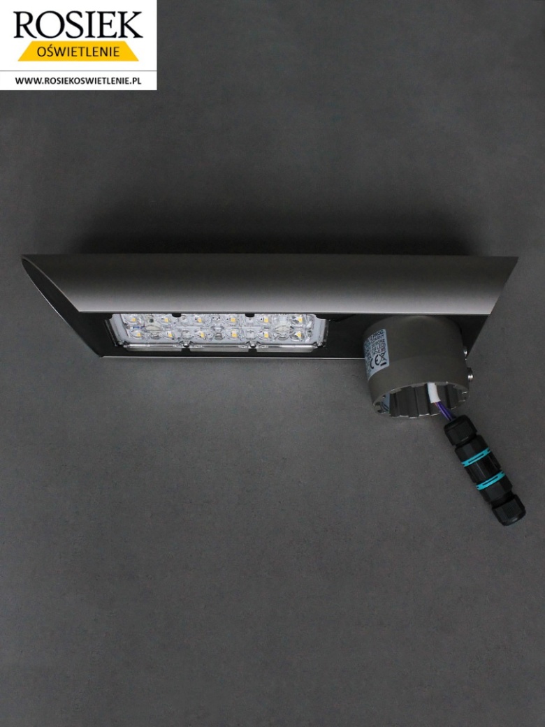 Oprawa uliczna-parkowa ISKRA LED ALFA PROG 12, 5000K rosa